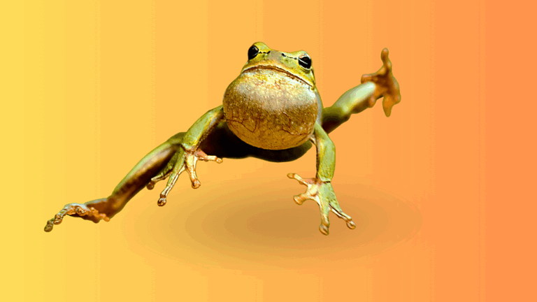 National Frog Jumping Day: A Leap Into One of America’s Quirkiest ...